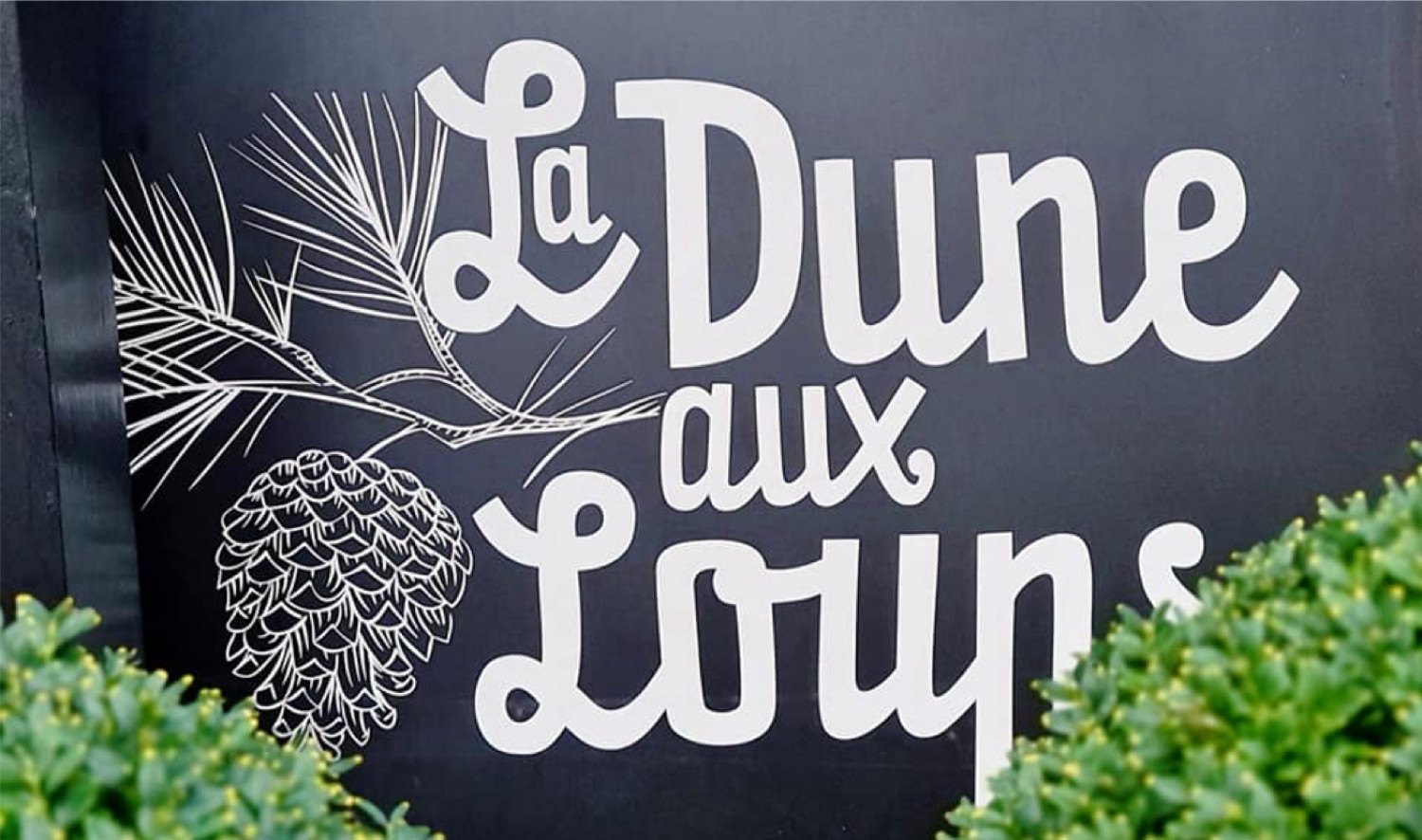 DINER COMPLICE - LA DUNE AUX LOUPS - ANNULE - Collège Culinaire de France